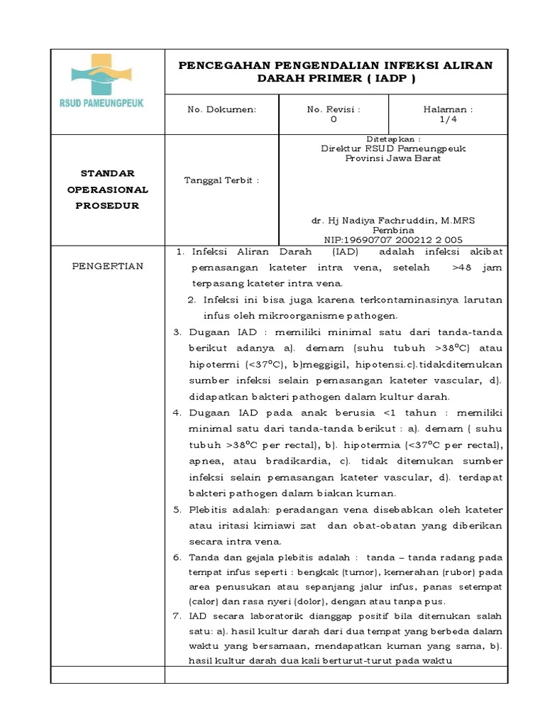 09 Spo Pencegahan Pengendalian Infeksi Aliran Darah Primer (Iadp) | PDF