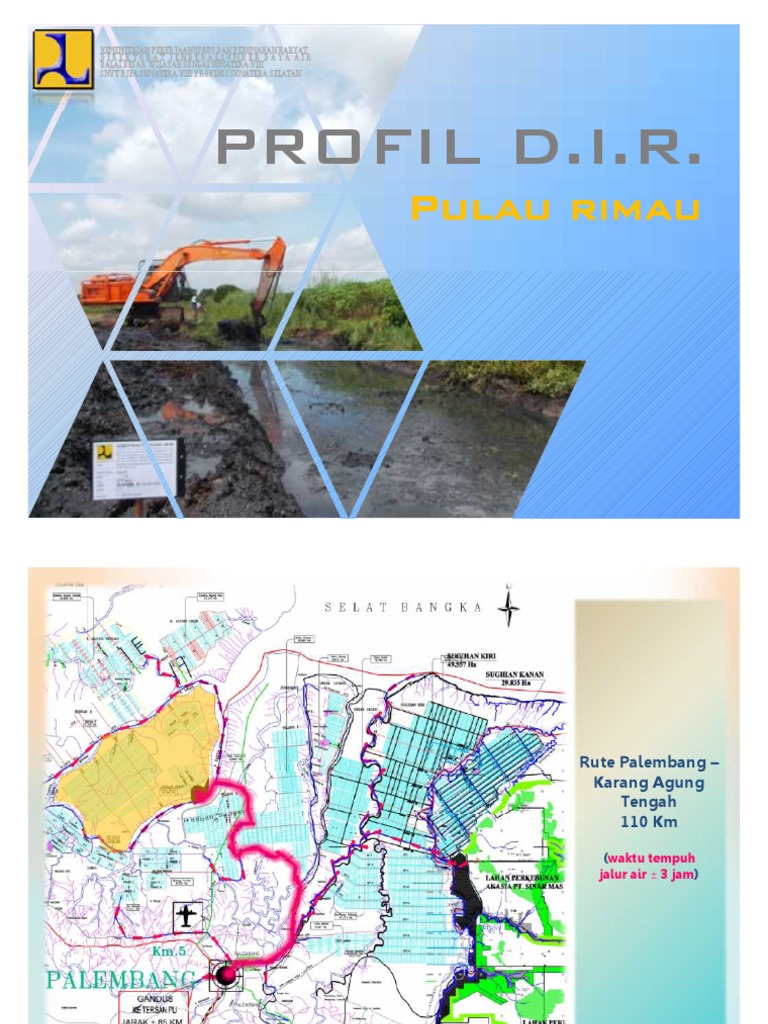 Profil Rawa Pasang Surut Pulau Rimau | PDF