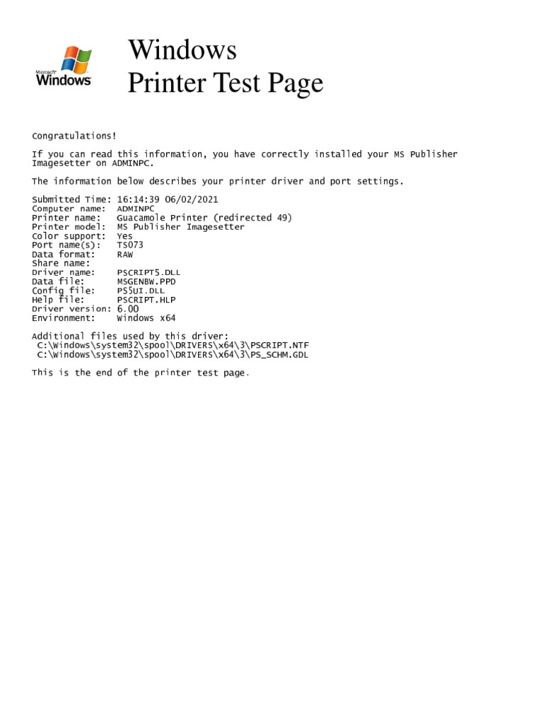 Windows Printer Test Page Details | PDF