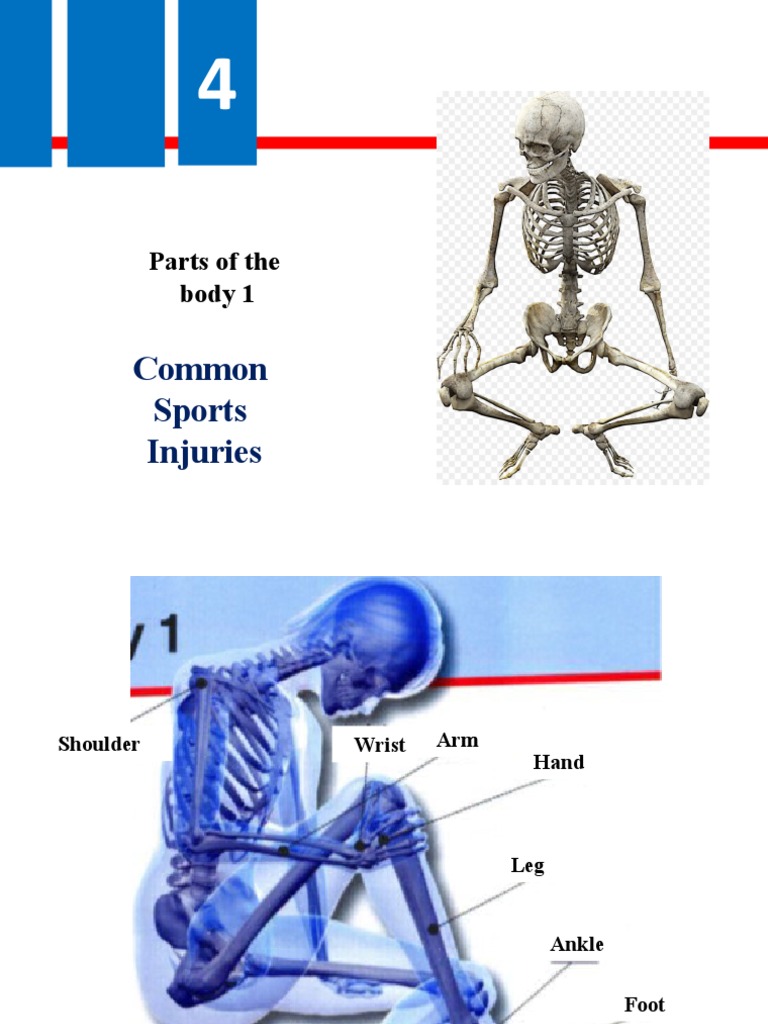 Parts of The Body I | PDF | Hand | Anatomical Terms Of Motion