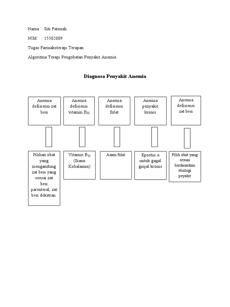 Algoritma Terapi Anemia Terapan | PDF