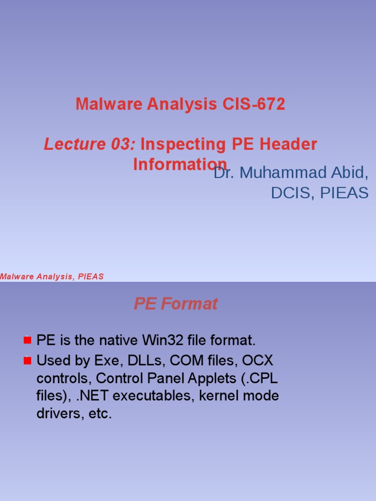 PE Format | PDF | Computing Platforms | Operating System Families