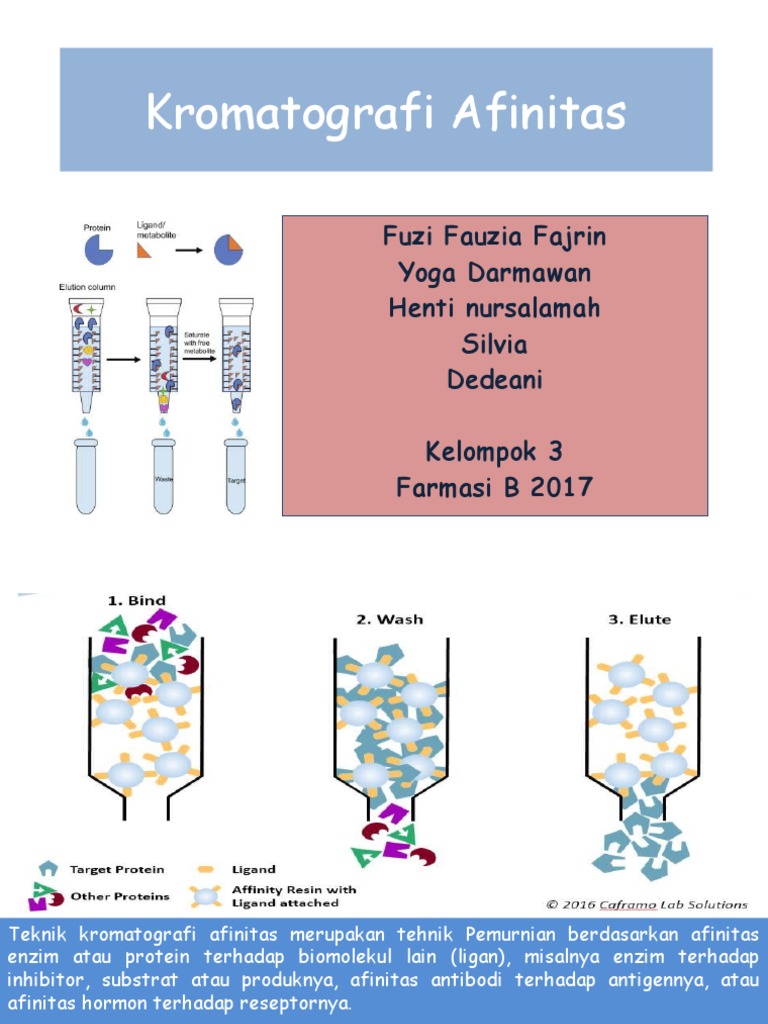 Kromatografi Afinitas | PDF