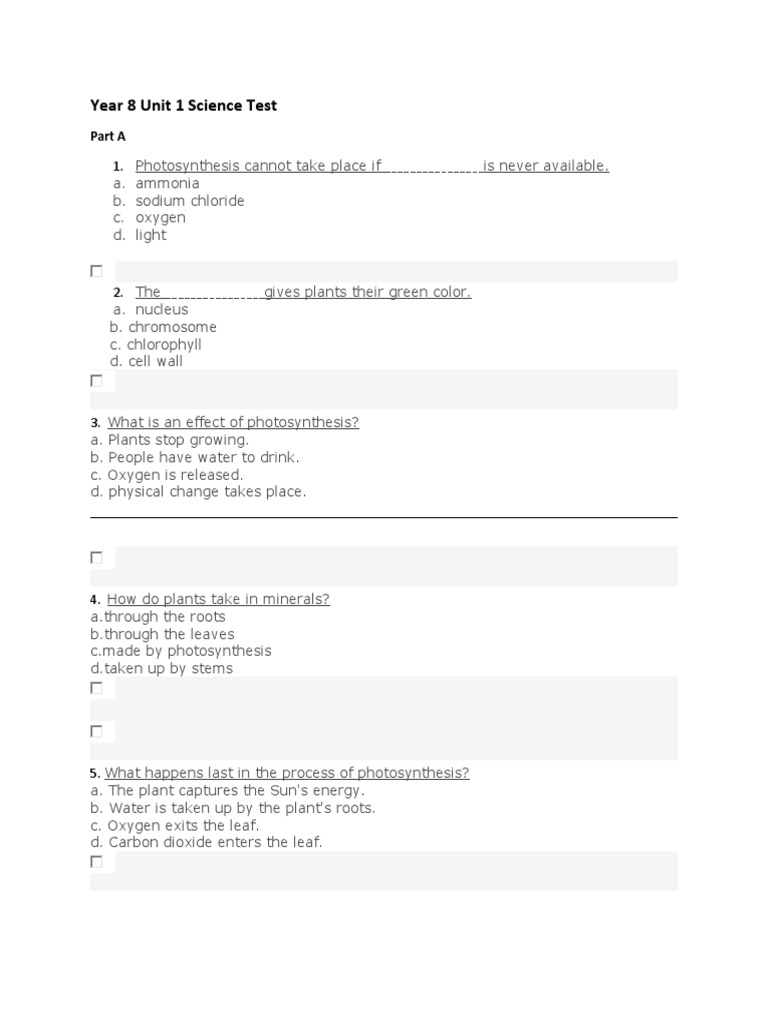 Year 8 Photosynthesis Test Questions | PDF | Home & Garden | Wellness
