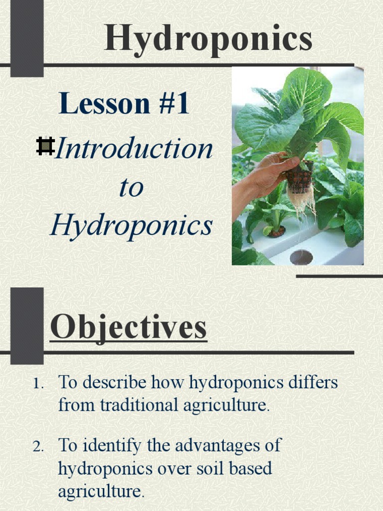Hydroponics: Lesson #1 | PDF