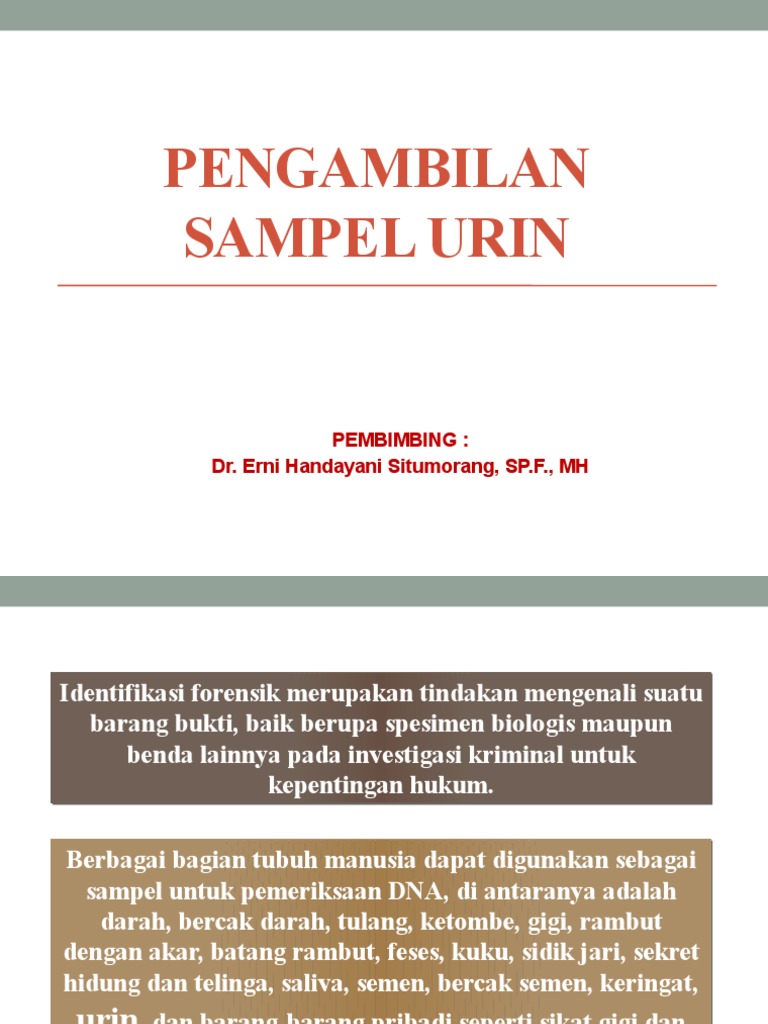 Pengambilan Sampel Urin | PDF