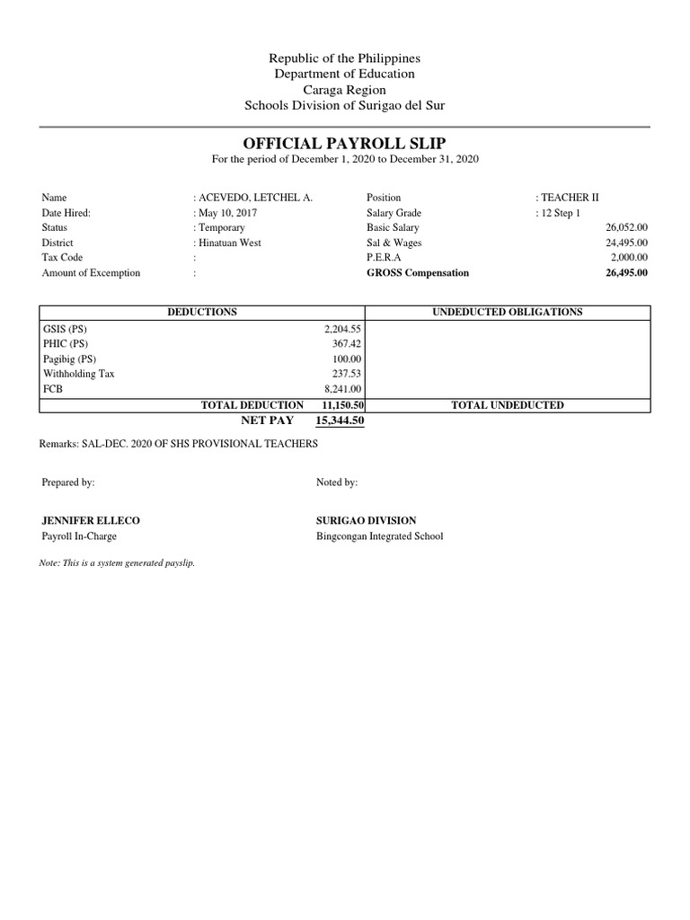 Payslip | PDF