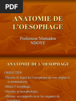 Anatomie des anses grêles et mésentère | PDF | Péritoine | Spécialités ...
