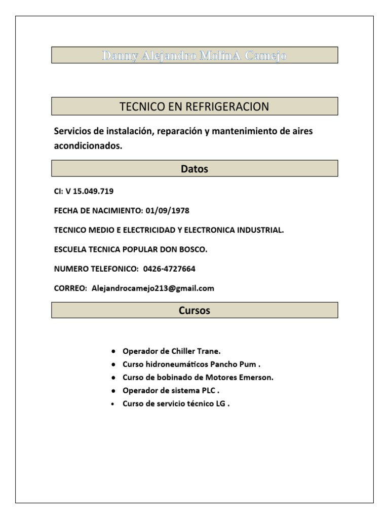 Curriculum Danny | PDF | Negocios | Hogar, jardinería y bricolaje