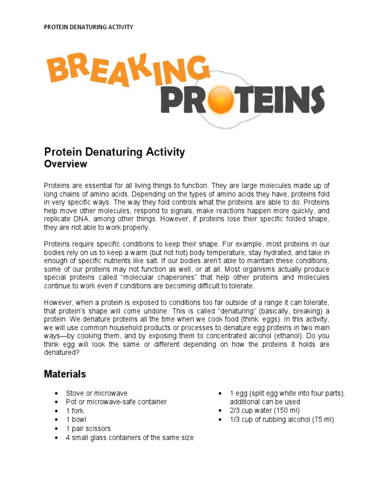 Protein Denaturing Activity | PDF | Denaturation (Biochemistry) | Egg White