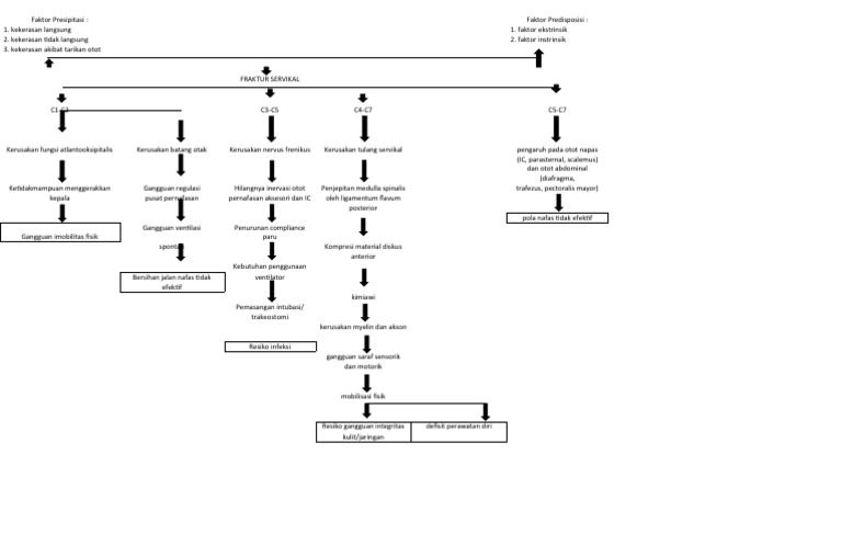 Pathway Fraktur Servikal | PDF