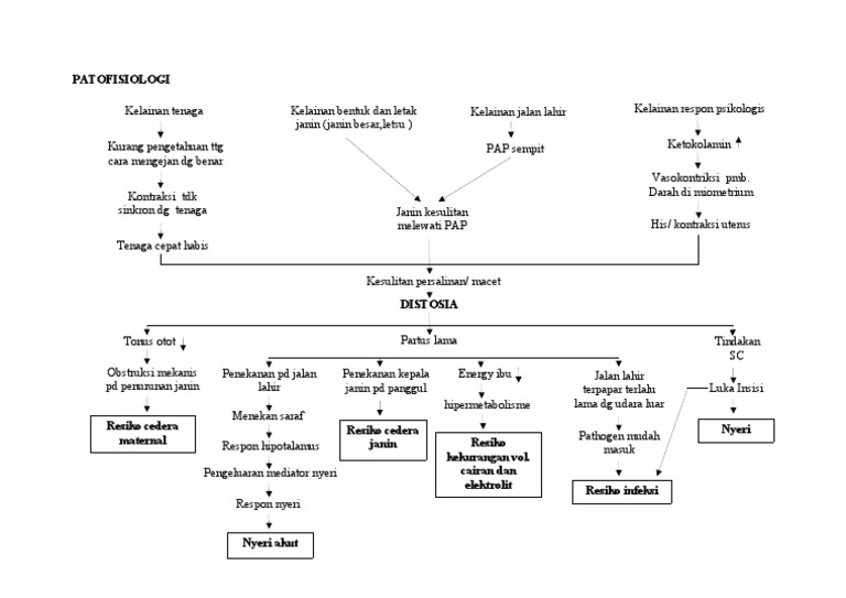 Masalah Persalinan dan Distosia | PDF