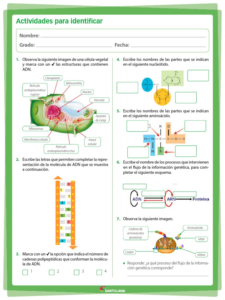 CIE9 Ze 2 U1 | PDF | Plásmido | Adn