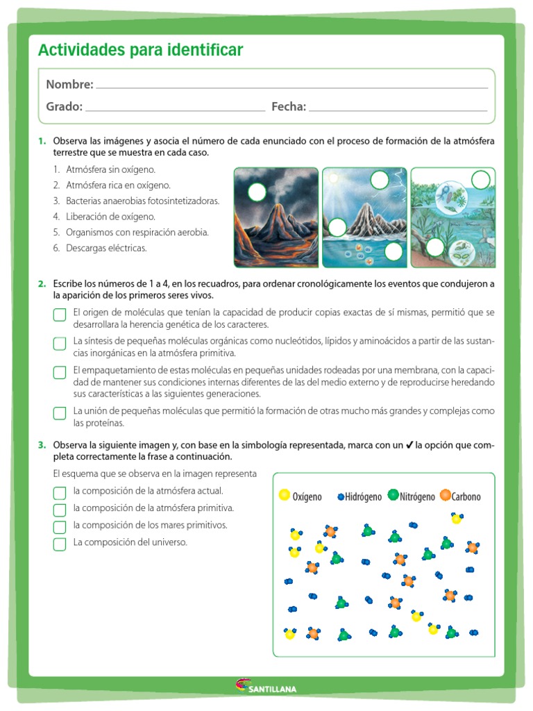 CIE9 Ze 2 U3 | Descargar gratis PDF | Plantas | Organismos