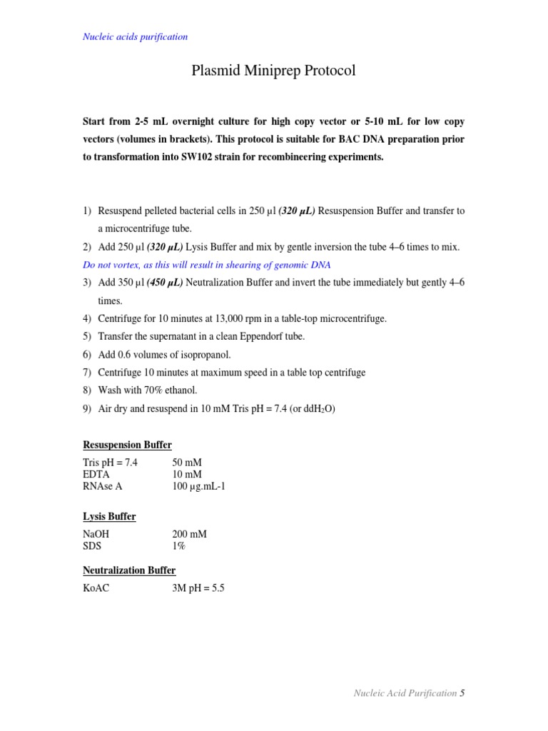Plasmid Miniprep Protocol: Nucleic Acids Purification | PDF