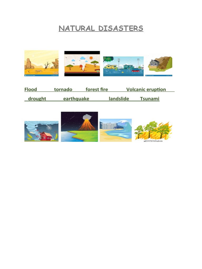 Natural Disaster | PDF