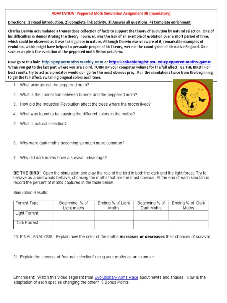 Peppered Moth Natural Selection Simulation | PDF | Natural Selection ...
