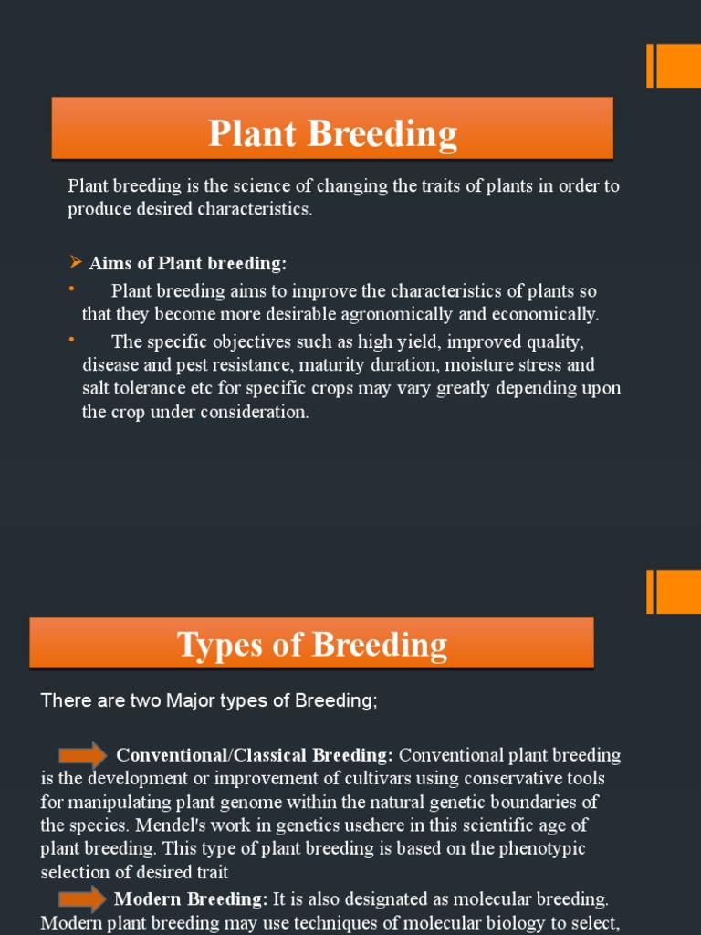 Marker Assisted Selection Pdf Plant Breeding Organisms