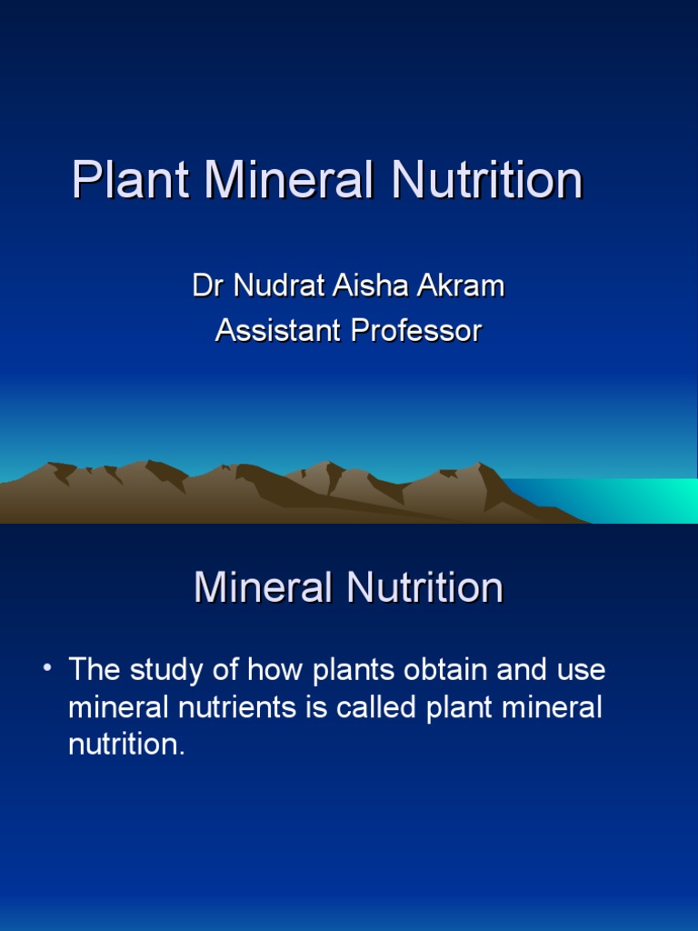 Overview of Plant Mineral Nutrition | PDF | Nutrients | Fertilizer