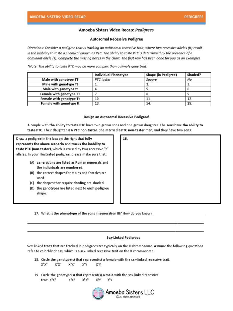 Amoeba Sisters: Video Recap Pedigrees | PDF | Dominance (Genetics ...