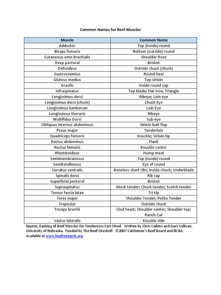 Common Names For Beef Muscles | PDF | Chuck Steak | Limbs (Anatomy)