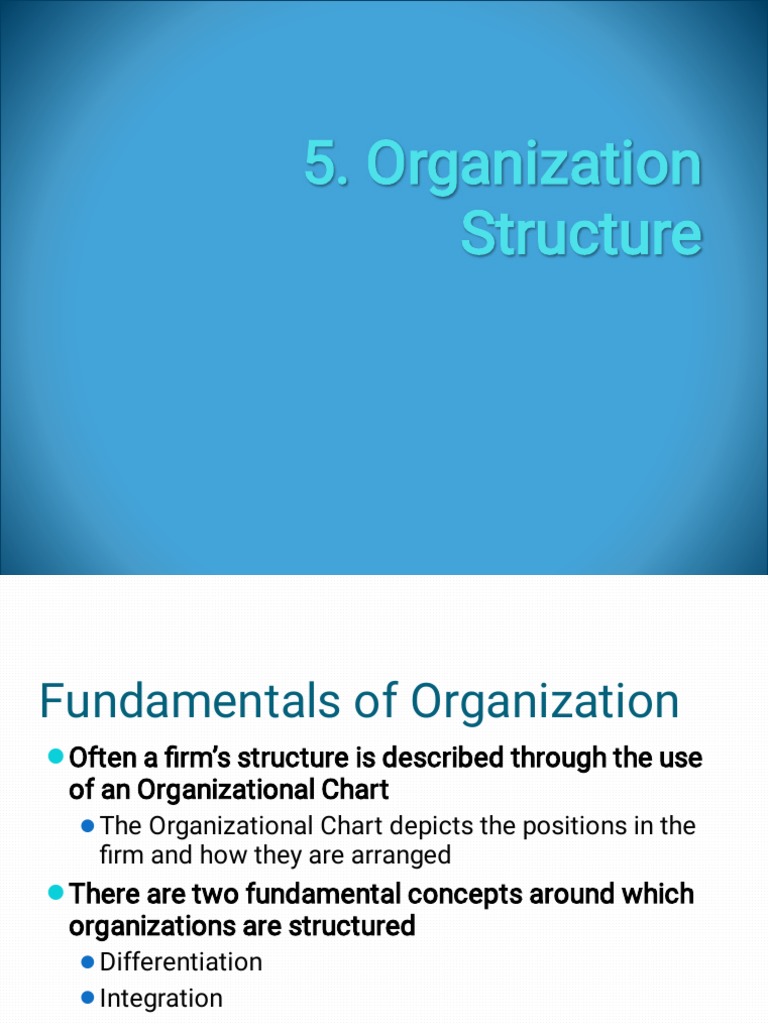 M5. Organization Structure-1 | PDF | Hierarchy | Business