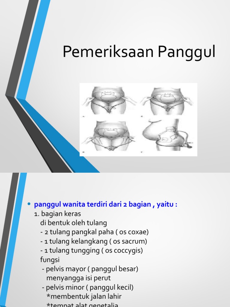 Pemeriksaan Panggul | PDF | Kesehatan Holistik | Sains & Matematika