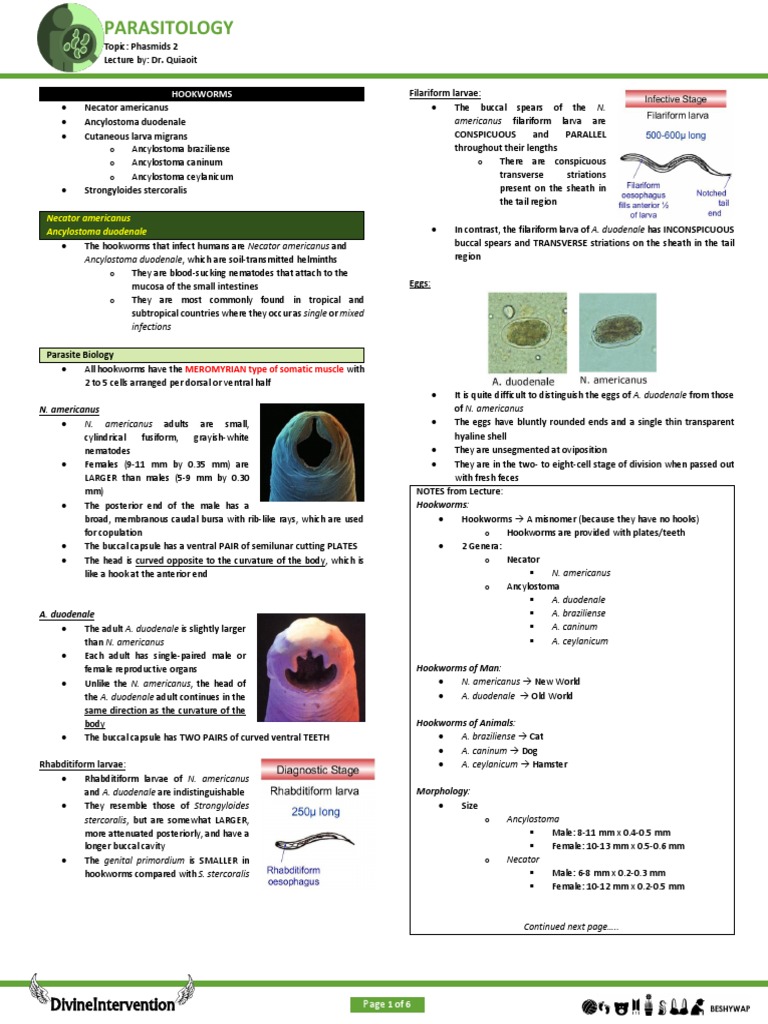 Phasmids 2 | PDF | Diseases And Disorders | Clinical Medicine
