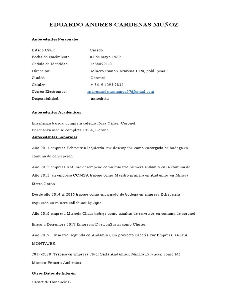 Curriculum Vitae Eduardo Andres | PDF