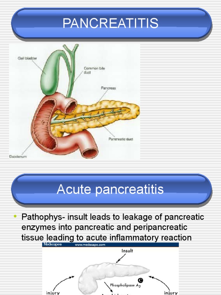 Acute & Chronic Pancreatitis | PDF | Pancreas | Gastroenterology