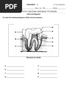 Class 9 ICSE Digestive System Solutions | PDF | Digestion | Stomach