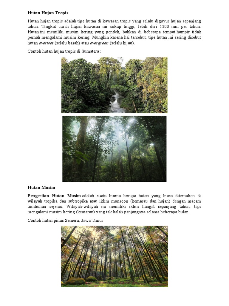 Ekosistem Tropis dan Subtropis | PDF