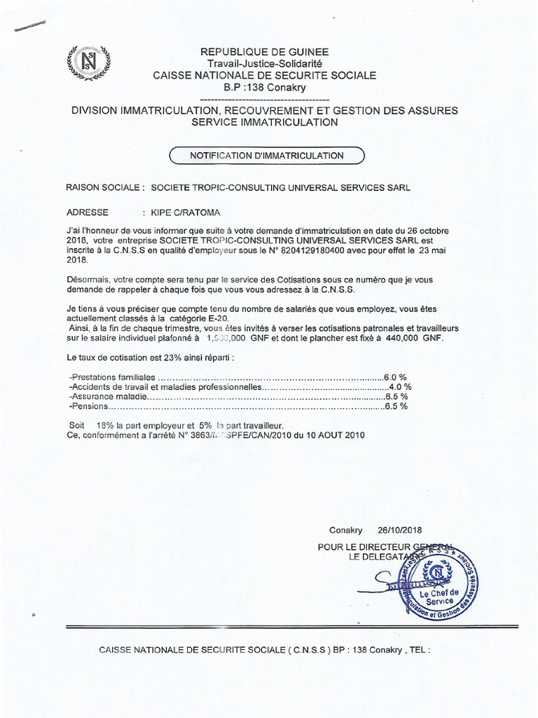 Déclaration CNSS | PDF