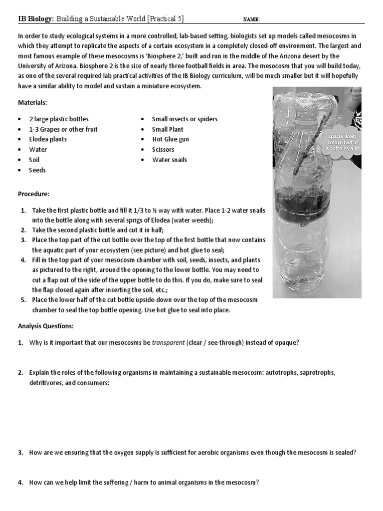 Mesocosm Lab Activity | PDF | Ecosystem | Water