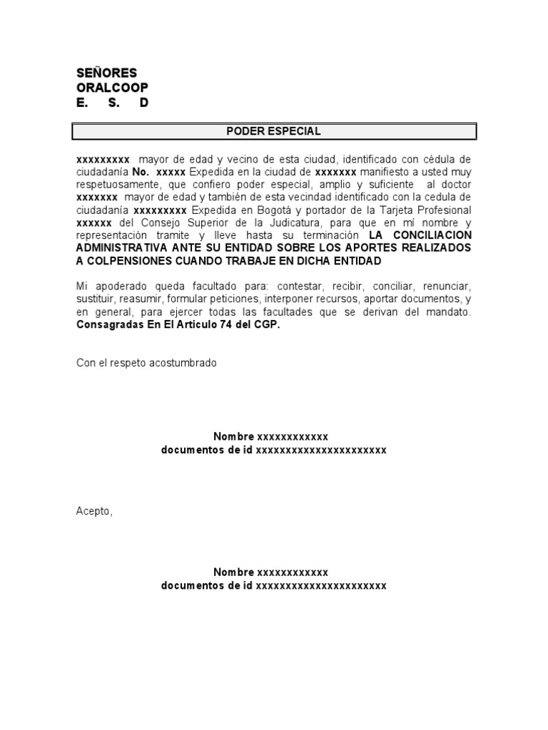 Modelo Poder Especial | PDF