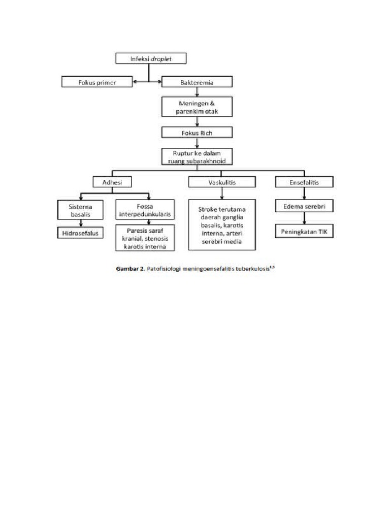 Patofisiologi Ensefalitis TB | PDF