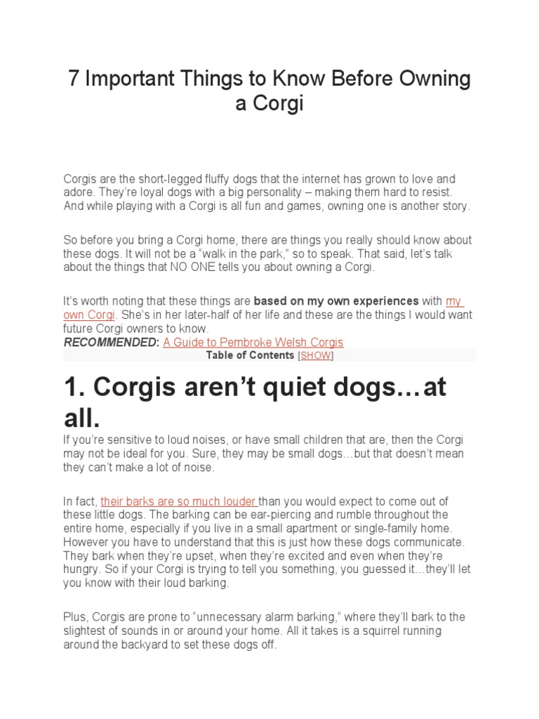 7 Important Things To Know Before Owning A Corgi Pdf