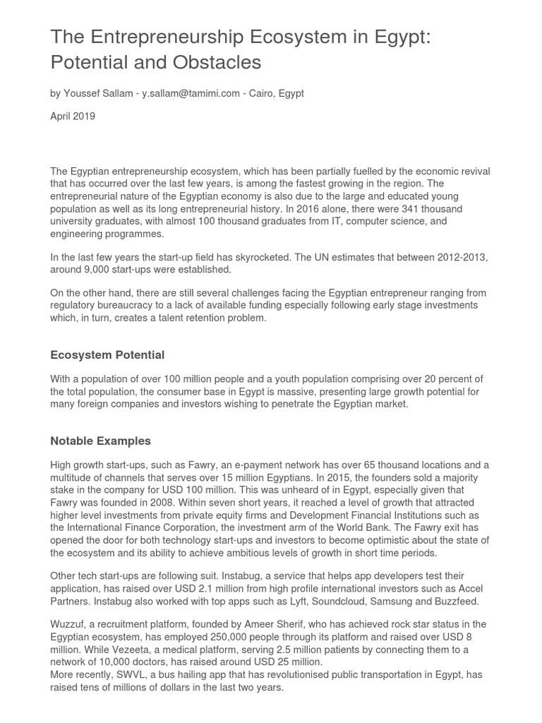 Egypt's Startup Growth & Challenges | PDF | Startup Company | Small ...