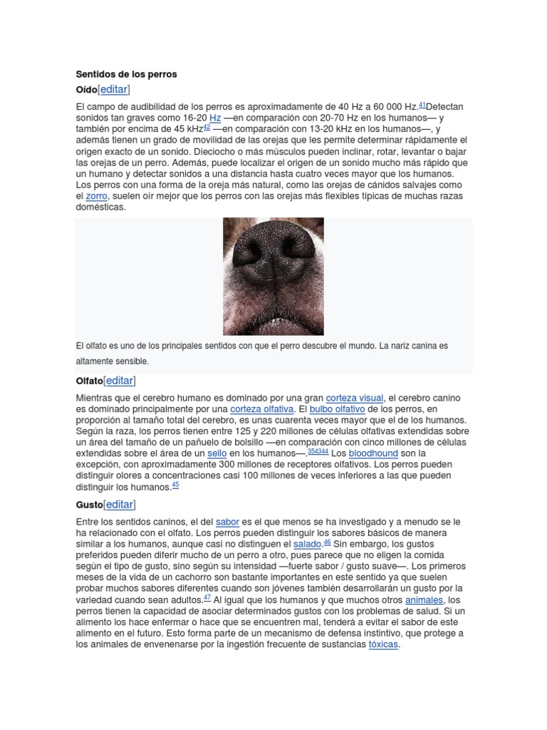 Sentidos y Comportamiento Canino | PDF | Cereales | Razas de perros