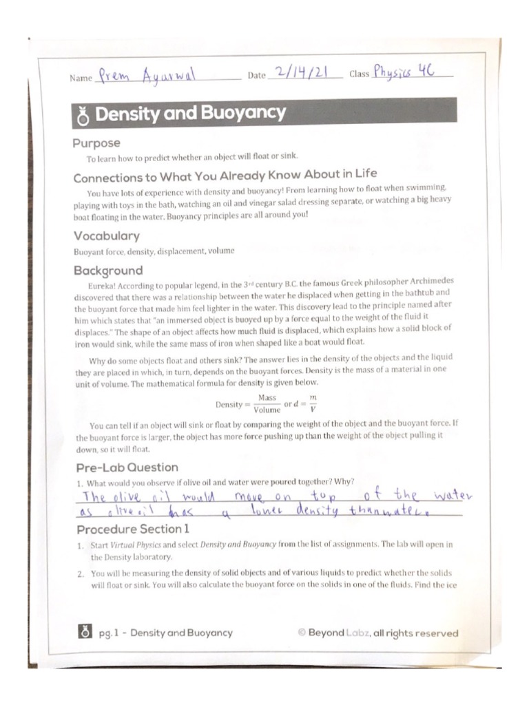 Density and Buoyancy Lab | PDF