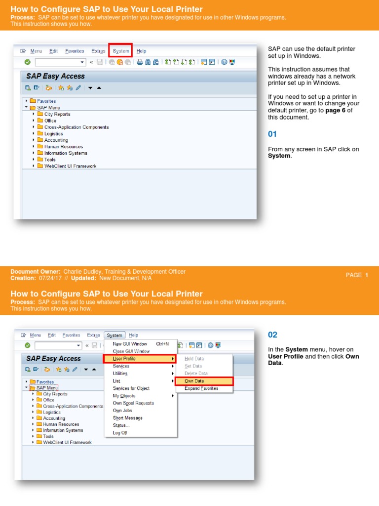 Configure Sap To Use Your Local Printer Pdf Printer Computing Microsoft Windows