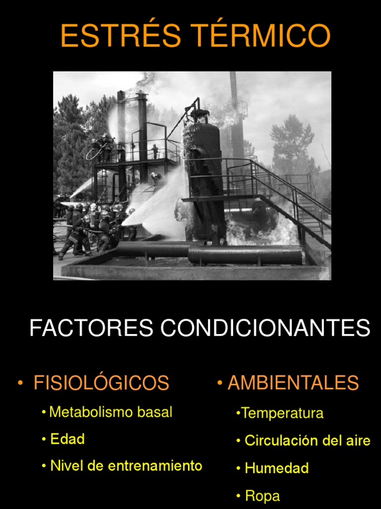 Estrés Térmico: Causas, Síntomas y Tratamiento | PDF