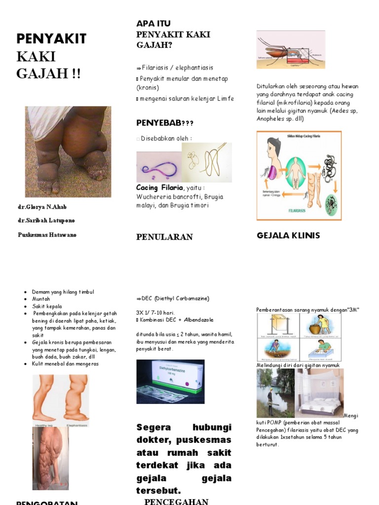 Understanding Elephantiasis | PDF