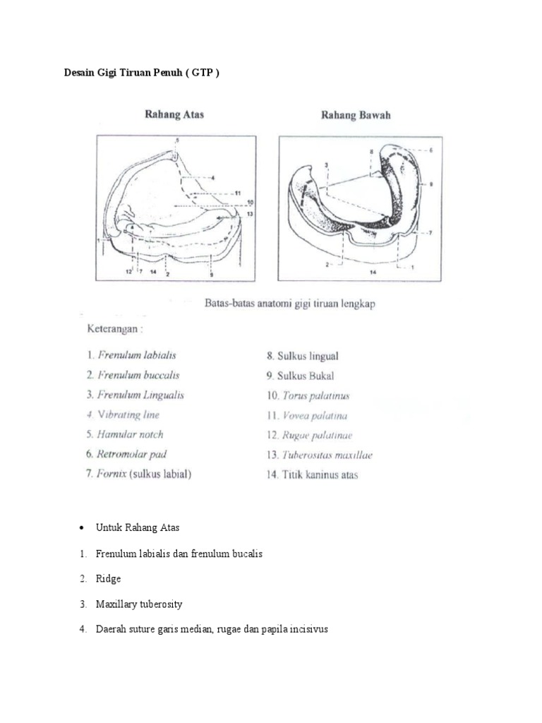 Desain Gigi Tiruan Penuh (GTP) | PDF