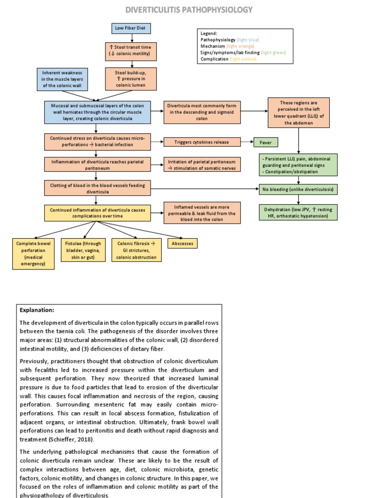 Diverticulitis Patho | PDF | Medical Specialties | Medicine