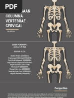 Thorax PA, AP Dan Lateral, RLD Dan LLD | PDF