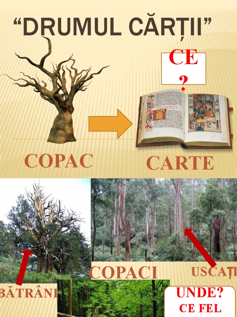Drumul Cartii | PDF
