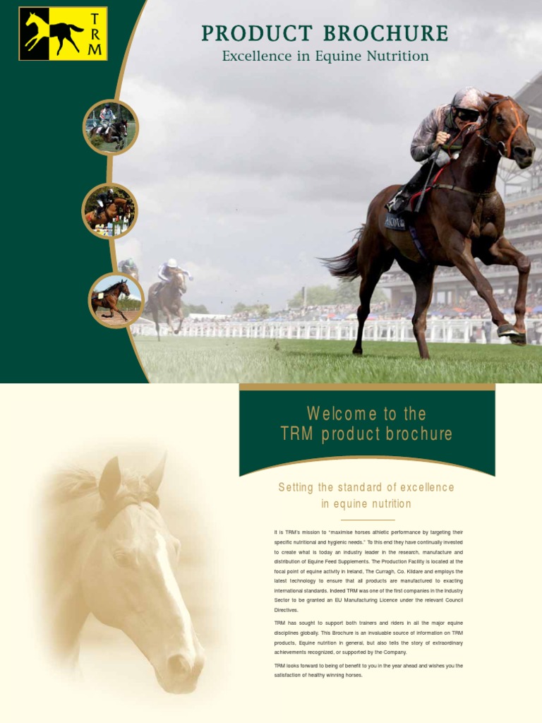 Product Brochure: Excellence in Equine Nutrition | PDF | Stomach ...