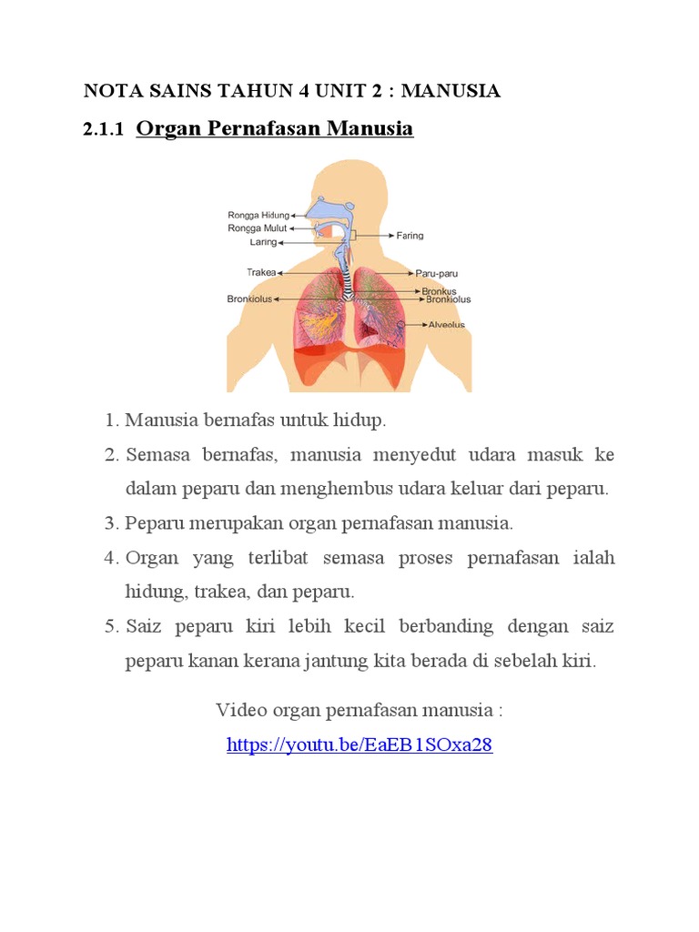 Nota Sains Tahun 4 Unit 2 | PDF