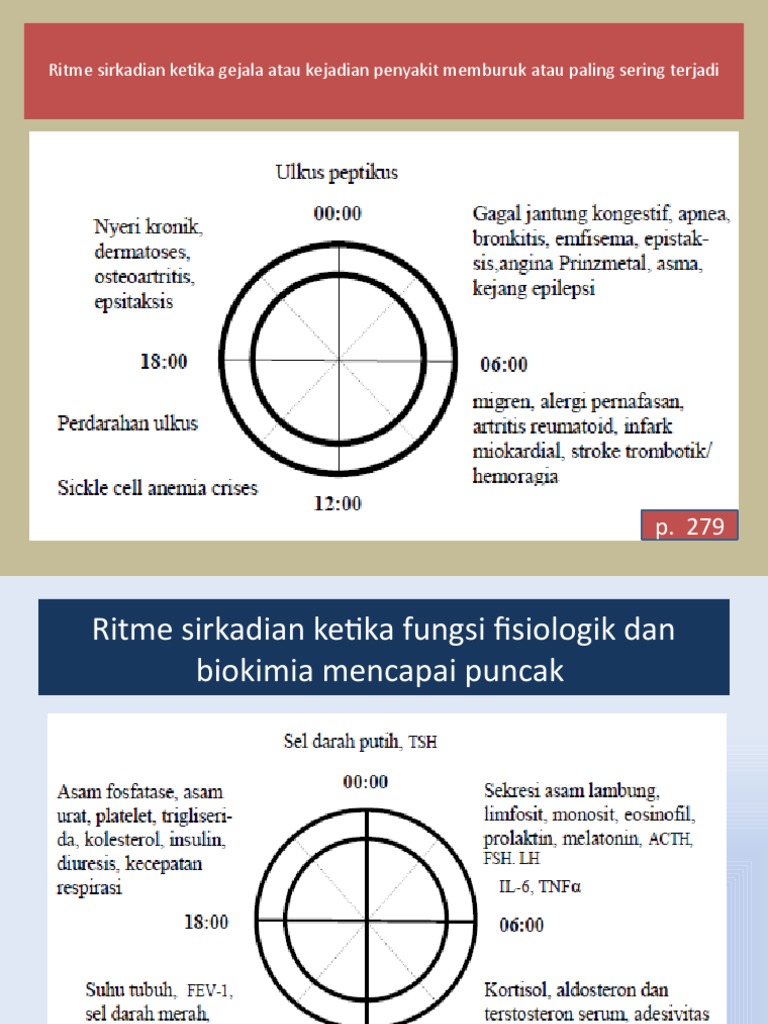 Gambar Ritme Sirkadian-1 | PDF